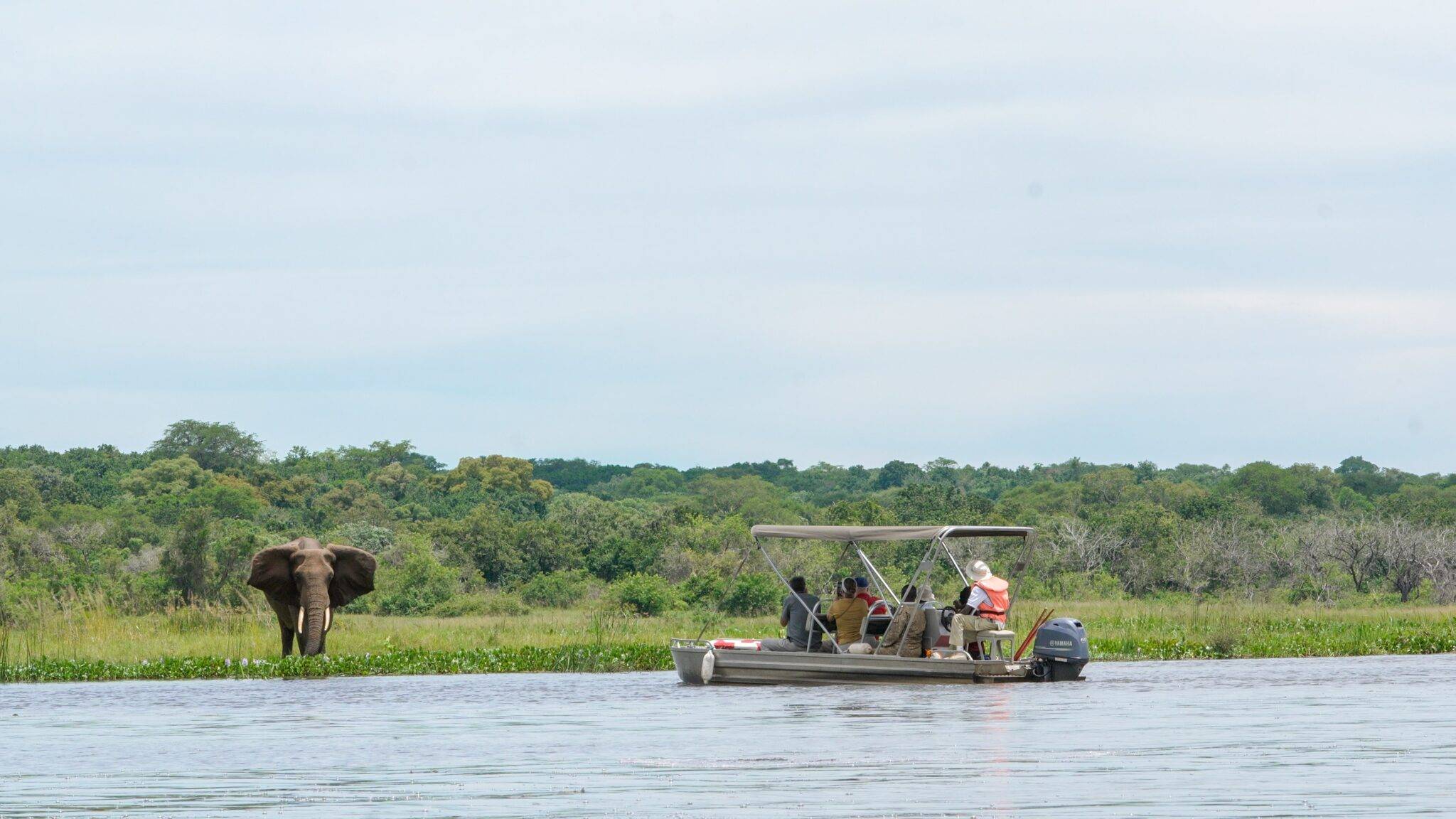 Boat Safari - Kikooko Africa Safaris