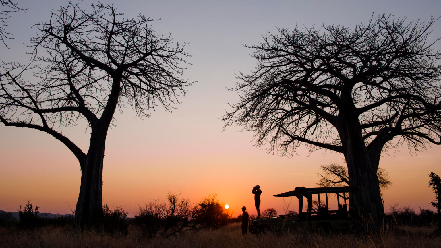 Get To Know Some Of The World’s Most Famous Safari Explorers - Kikooko ...