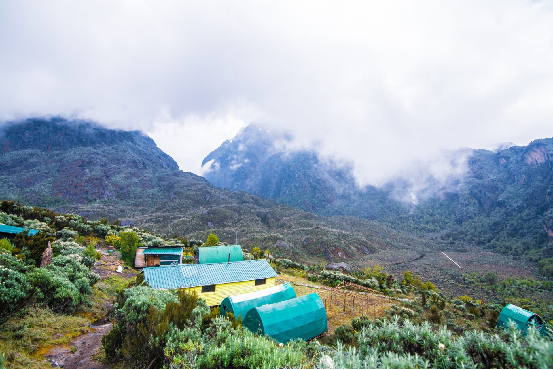 Everything You Wanted To Know About Rwenzori Trekking - Kikooko Africa ...